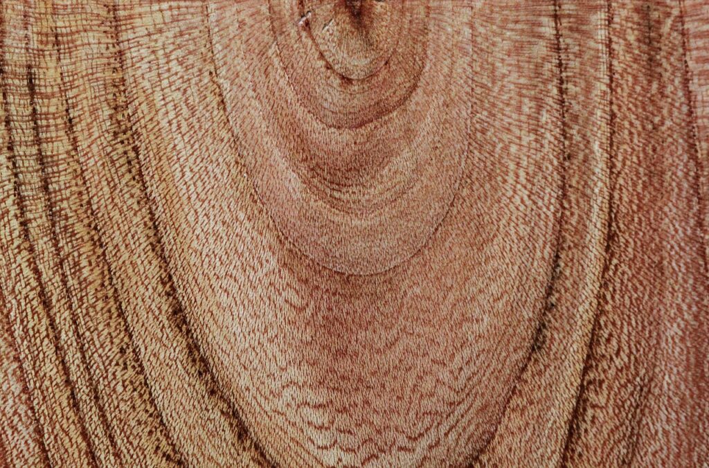 横向き寝の方必見！おすすめのマットレスの硬さや厚さを解説 – FitMap Welness