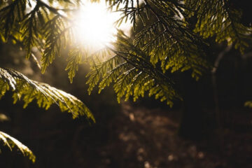 疲労回復に行いたい方法8選を紹介！疲れを癒やすポイントは – FitMap Welness